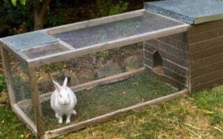 Gambar Kandang Peternakan Kelinci Diluar Dan Didalam